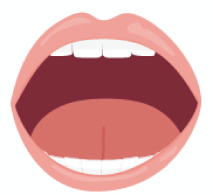 "Walk" と "Work" の発音、勘違いしていませんか！？ - eigo memo.