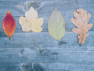 difference と different の違いと簡単な覚え方 - eigo memo.